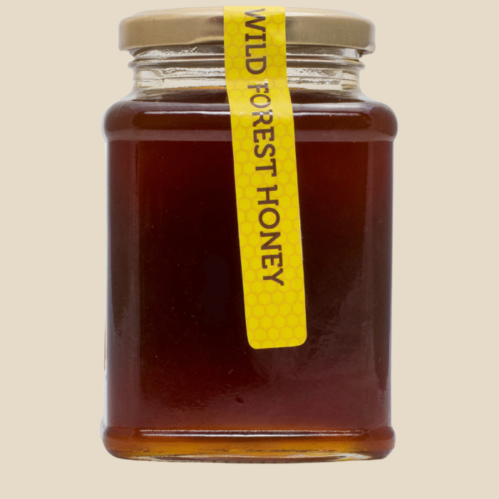 Madhukar Forest Honey 500g - madhukarhoneyfarm.com